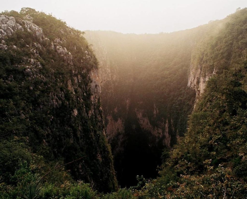 Steven Sysum: Photograph Your Love® Instagram Takeover - Color Services